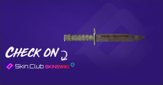Bayonet | Rust Coat (Well-Worn)