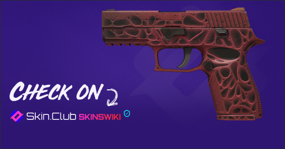 P250 | Contaminant (Field-Tested)