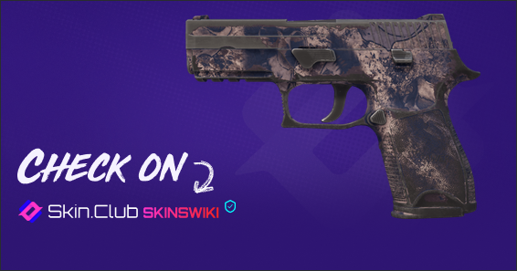 P250 | Drought (Well-Worn)