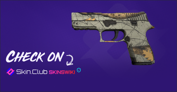 P250 | Modern Hunter (Field-Tested)