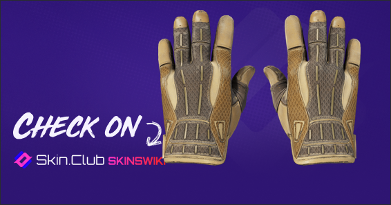 Sport Gloves | Arid (Well-Worn)