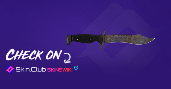 StatTrak™ Bowie Knife | Rust Coat (Well-Worn)
