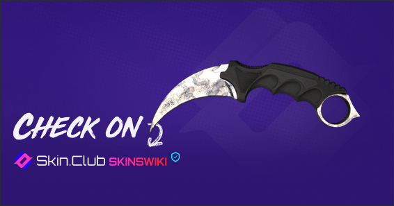 StatTrak™ Karambit | Stained (Well-Worn)