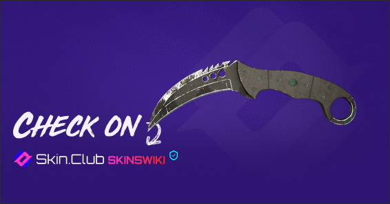 StatTrak™ Talon Knife | Boreal Forest (Well-Worn)