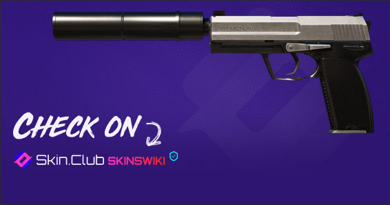 USP-S | Stainless (Factory New)