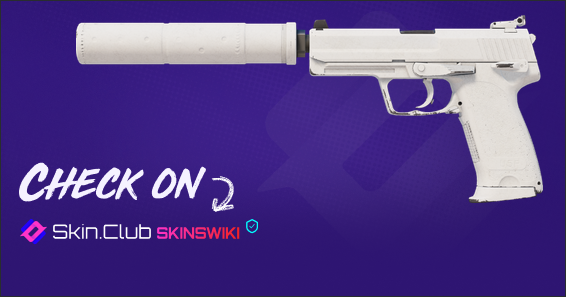 USP-S | Whiteout (Field-Tested)